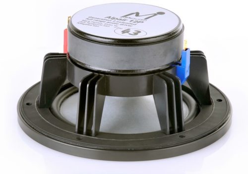 Markaudio Alpair 12P full range driver | KJF Audio